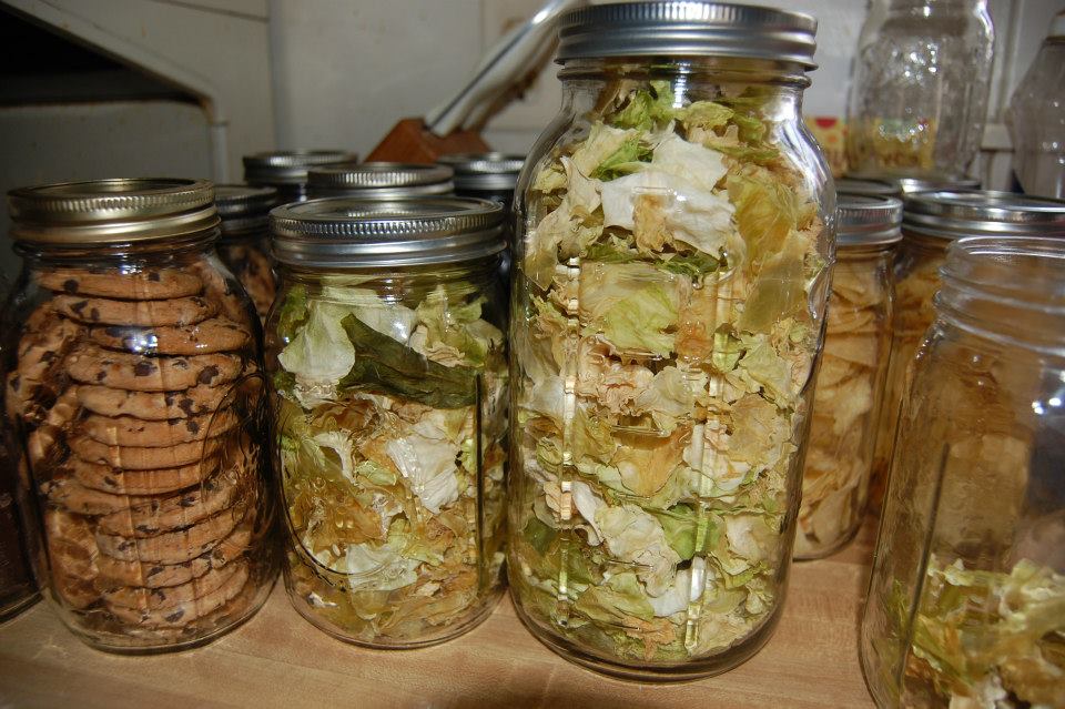 Perky Prepping Gramma: Dehydrating cabbage...