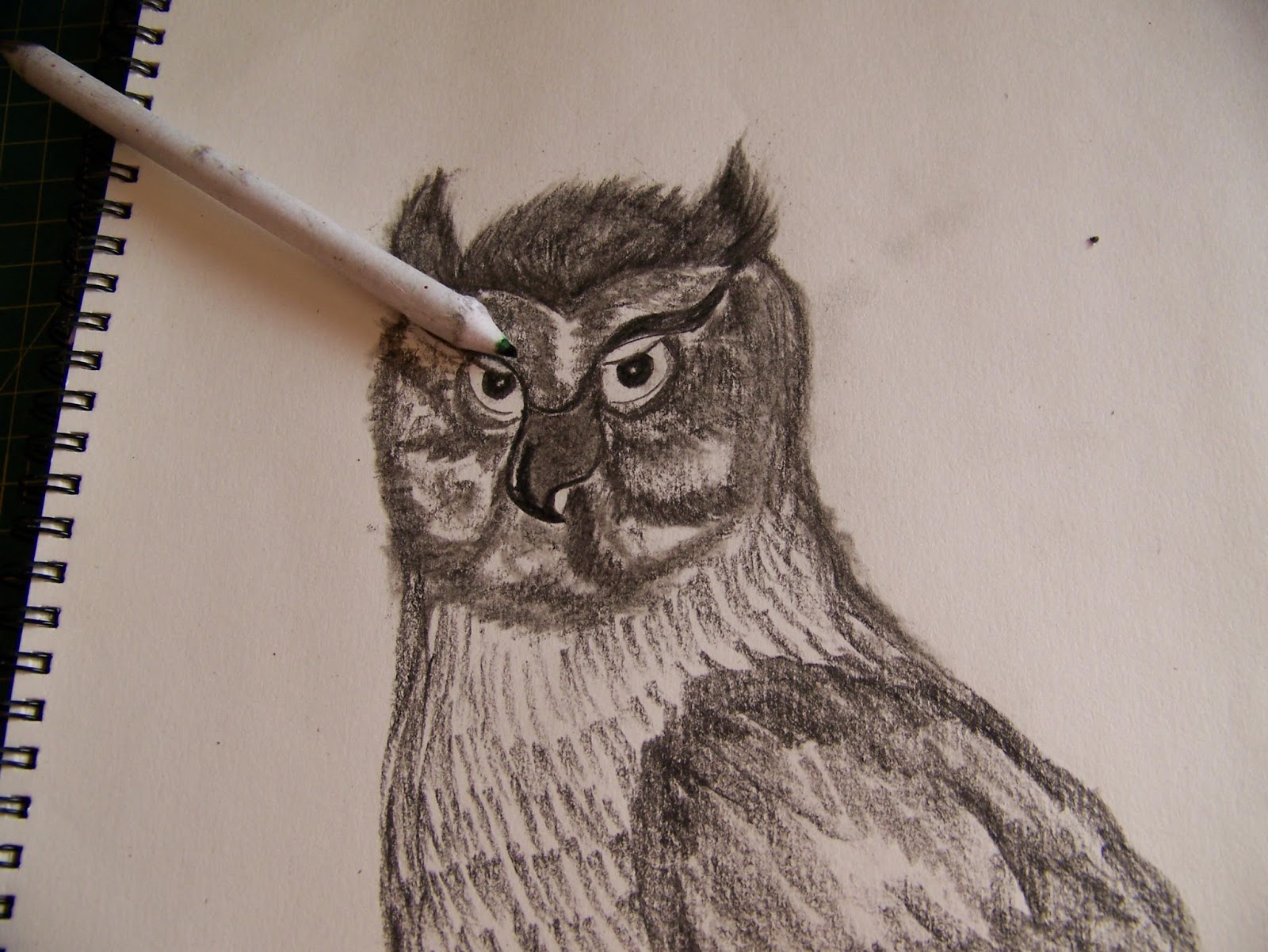 A Pretty Talent Blog: Learn to draw an almost realistic owl step by step
