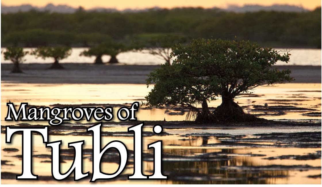Bahrain This Week: Mangroves of Tubli
