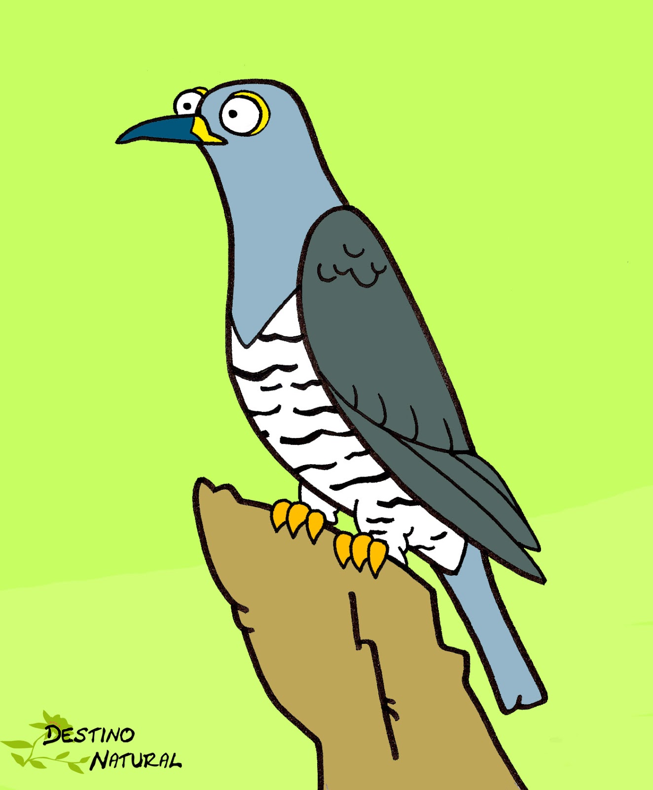 Destino Natural: Cuco