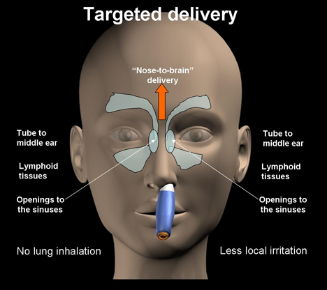 The Azure Sky: NASAL DRUG DELIVERY SYSTEM-a prospective