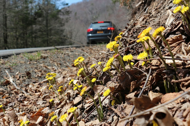 66 Square Feet (Plus): The Catskills on an empty spring day