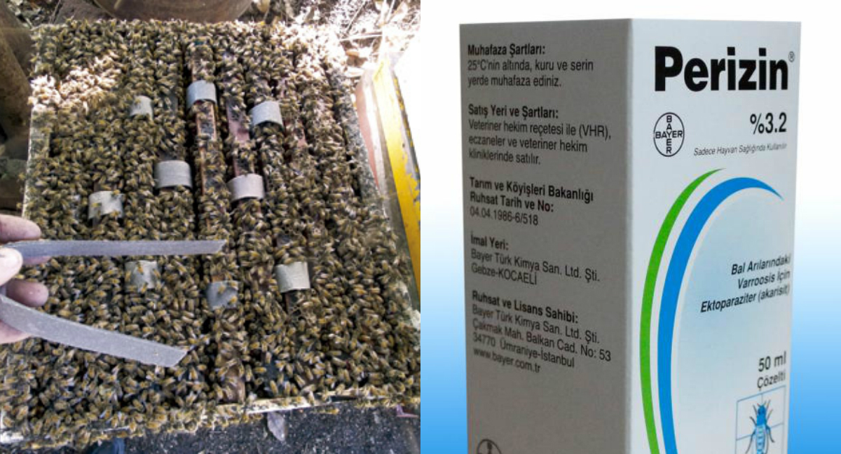 Μπορεί να επηρεαστεί η απόδοση της βασίλισσας από τα διάφορα φάρμακα ...