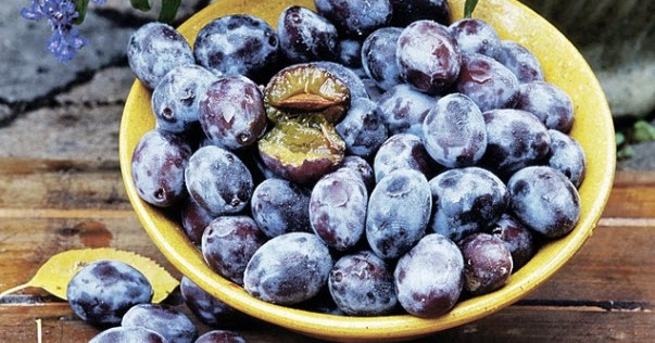 ПоЛеЗнО ВкУсНо УюТнО: Сливи мариновані на зиму