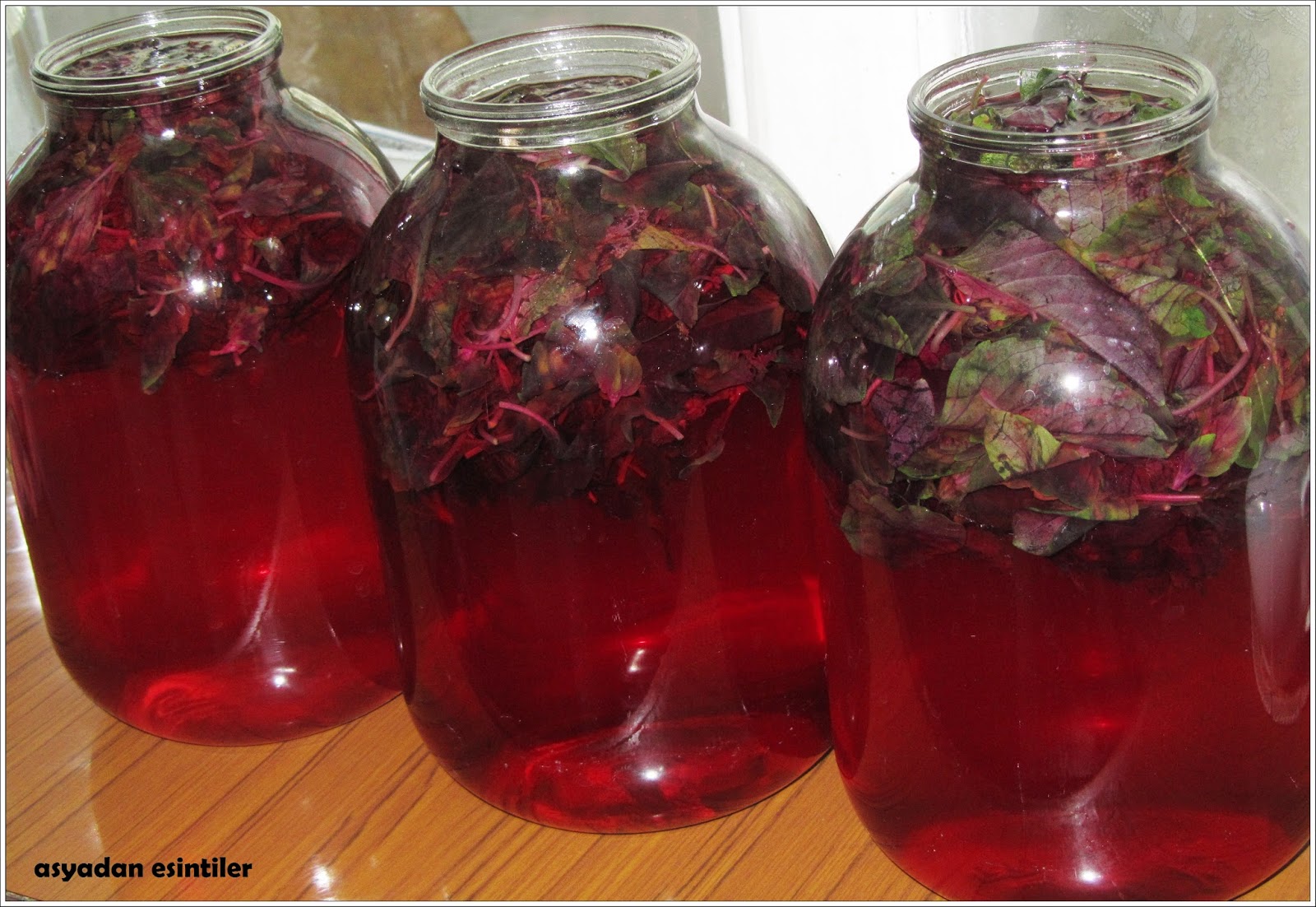 asyadan esintiler: Reyhan Şerbeti,Reyhan şebeti nasıl hazırlanır?