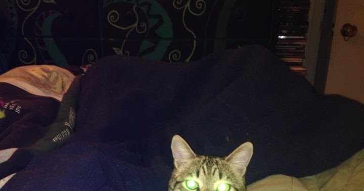 Antisocial Media: Toes