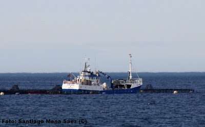 Barcos en Málaga: Jueves 11 de Octubre: movimientos.