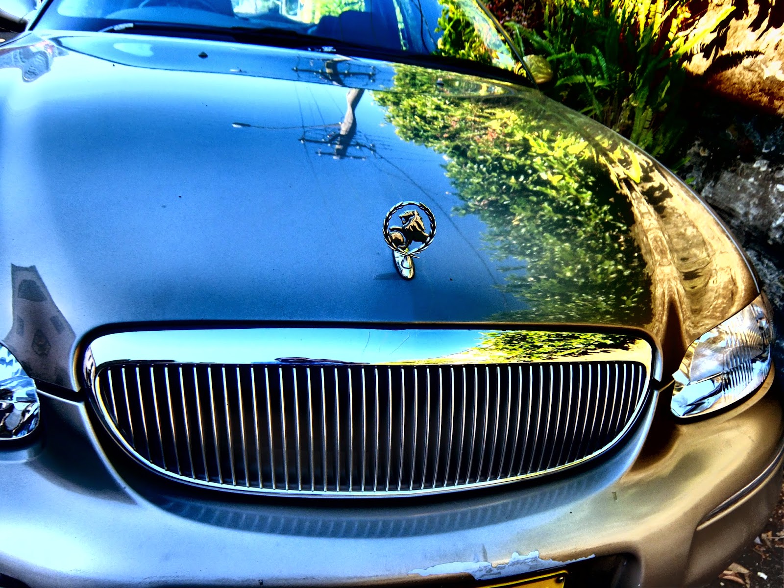 Aussie Old Parked Cars: 1991 Holden WH Caprice