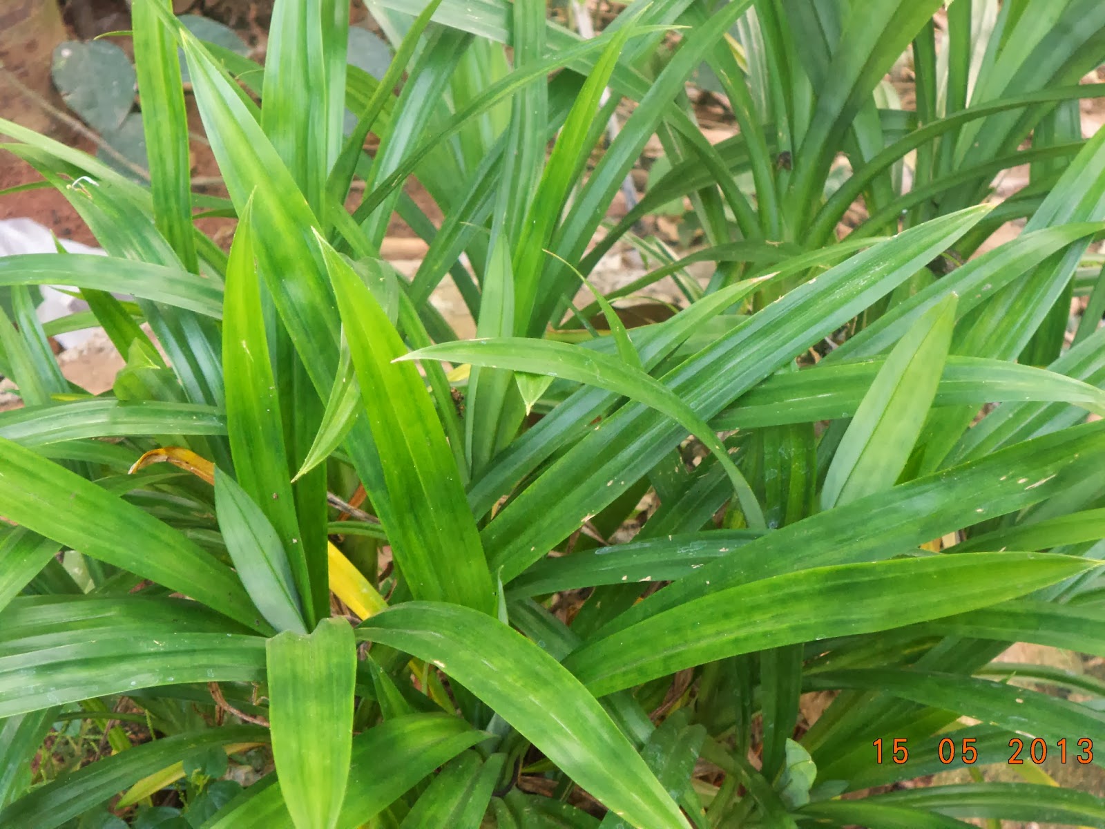 my corner: September 2013