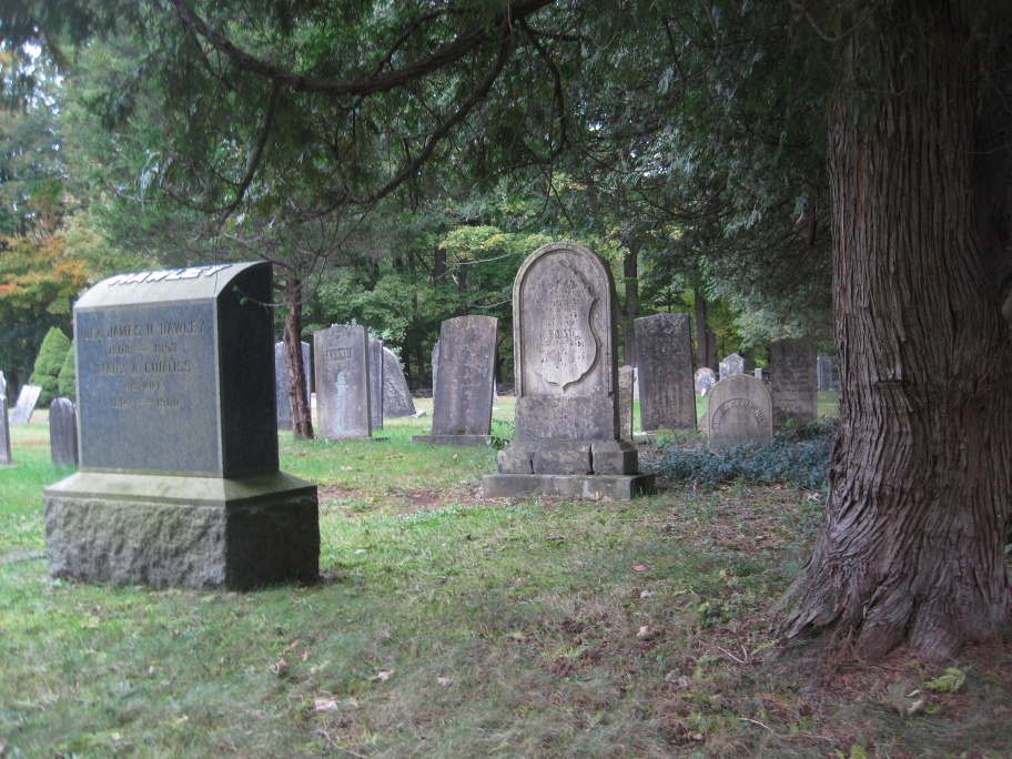 Anne's Creative Cornucopia: Stepney Cemetery - Pictures