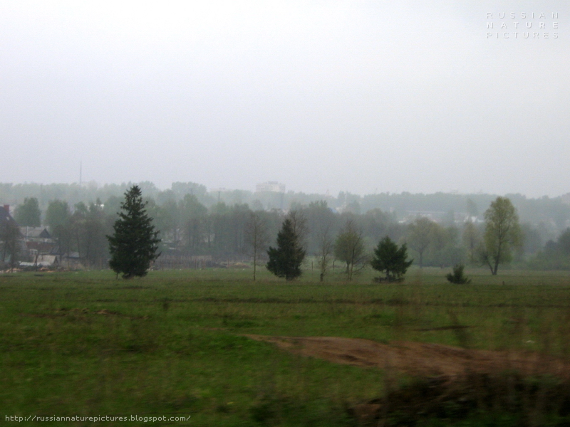 Landscapes: Fog — Part 01 ~ Russian Nature Pictures