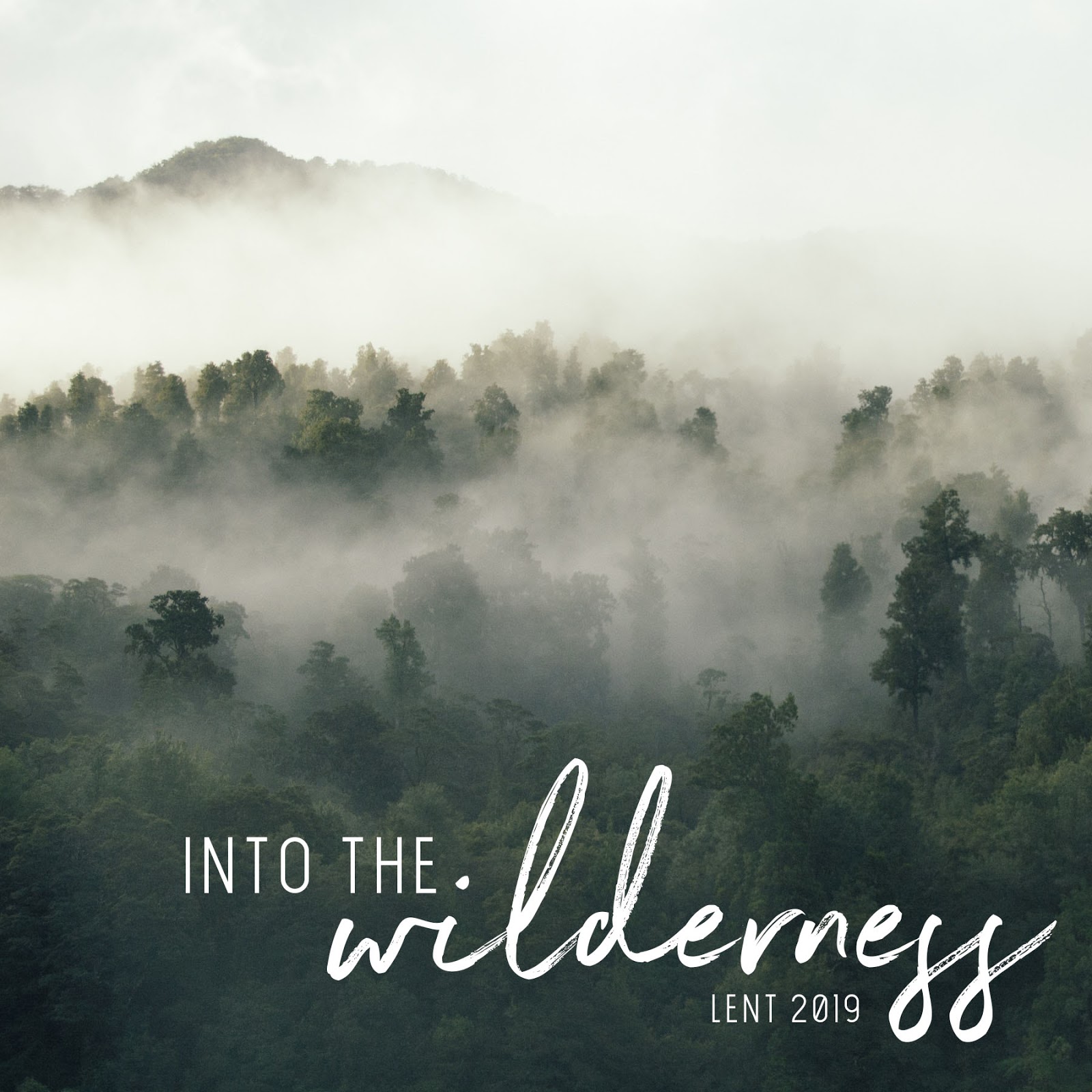 Into the Wilderness: Lent 2019 | Christina Bohn