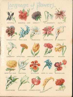 Flowers Of The World: The Common Flower Names May Vary According To The ...