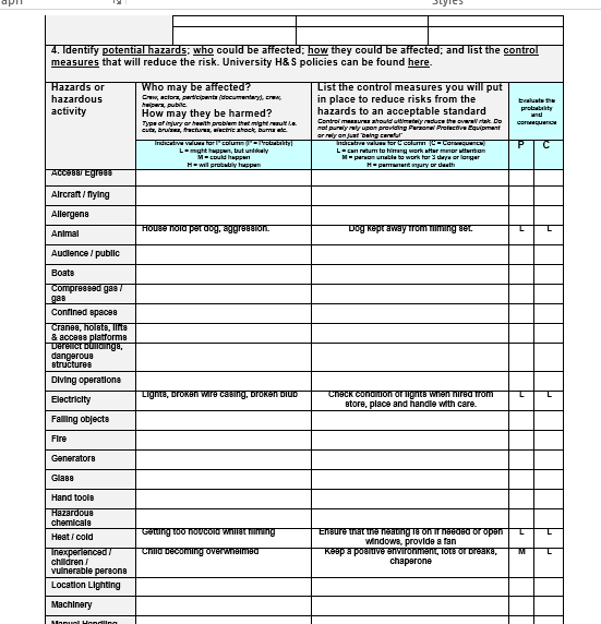 Dance film - risk assessment