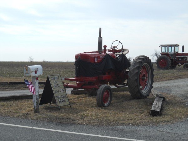 The Daily Undertaker, The Variety and Importance of Ritual