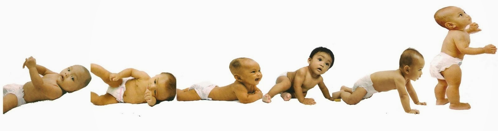 UJIAN BIOLOGI SEMESTER SATU KELAS XII - Biology Page