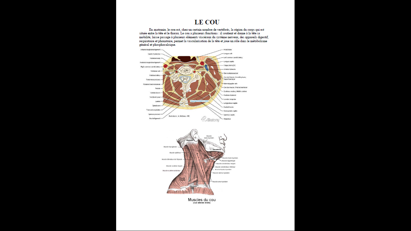 Download Lesson: Le Cou