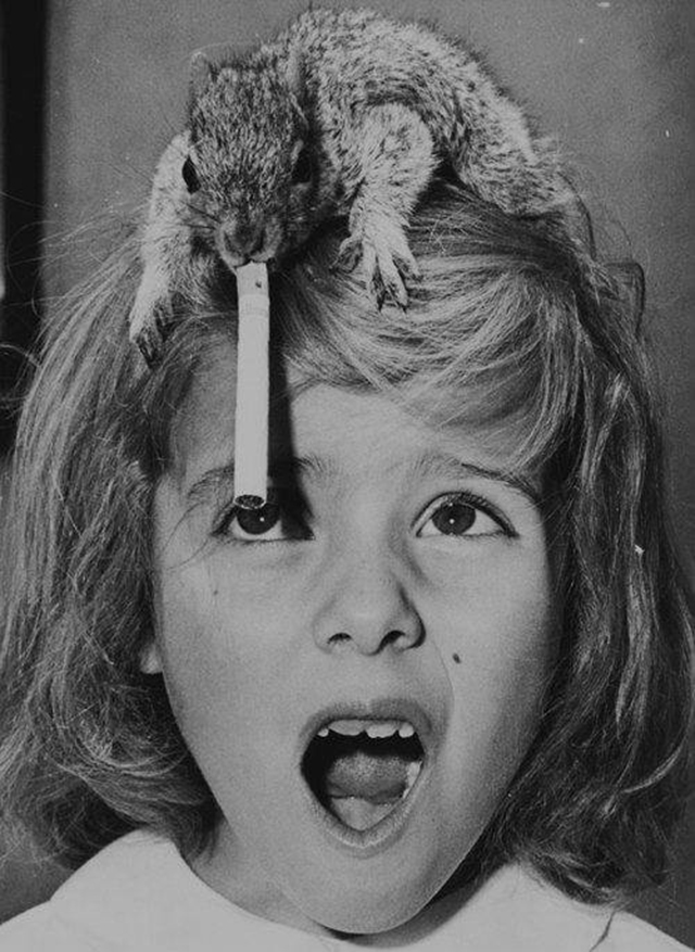 People Who Love Monkeys and Other Animals That Aren't Dogs or Cats ...