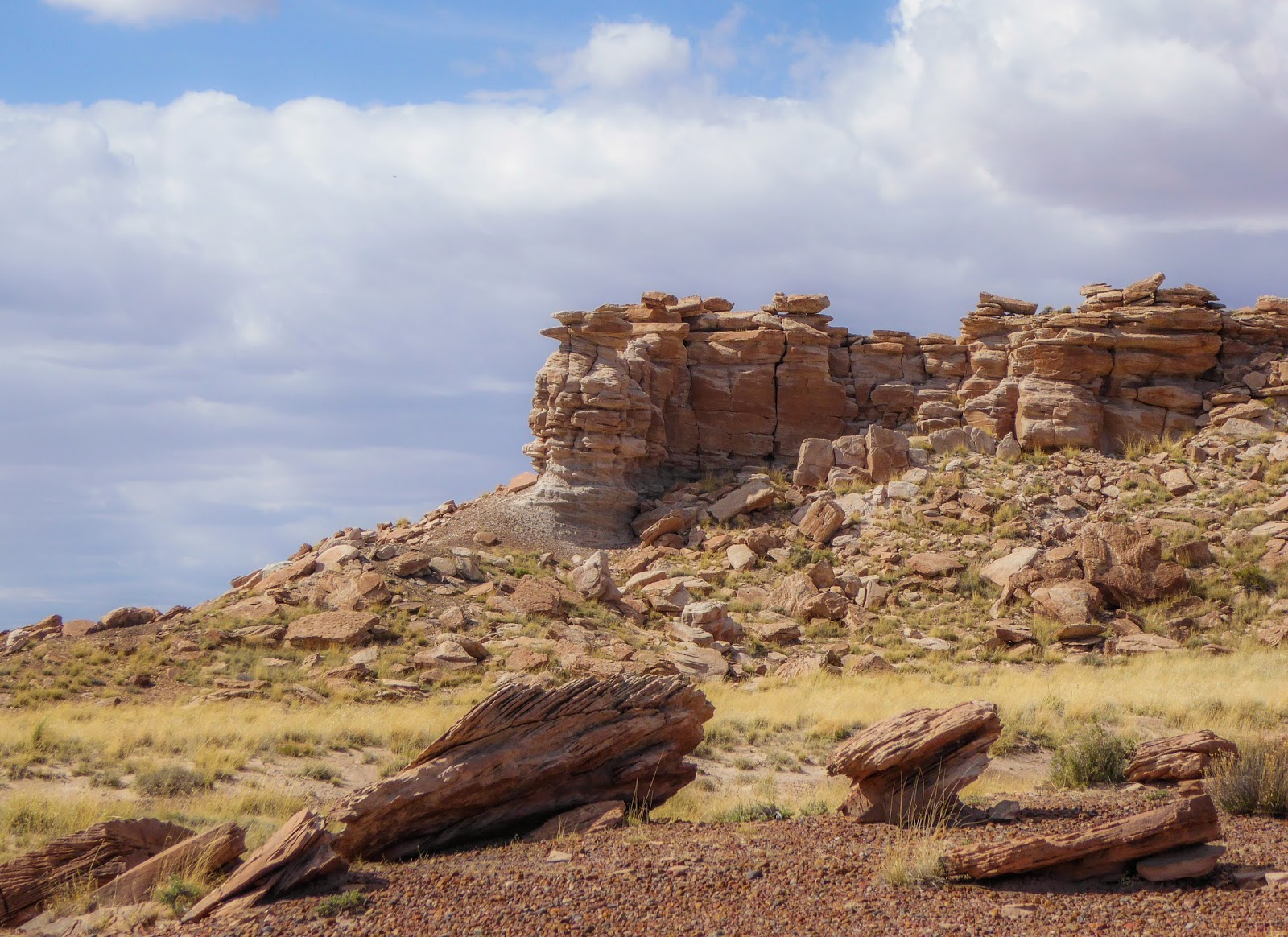 cruisingat60: And lived to tell about it