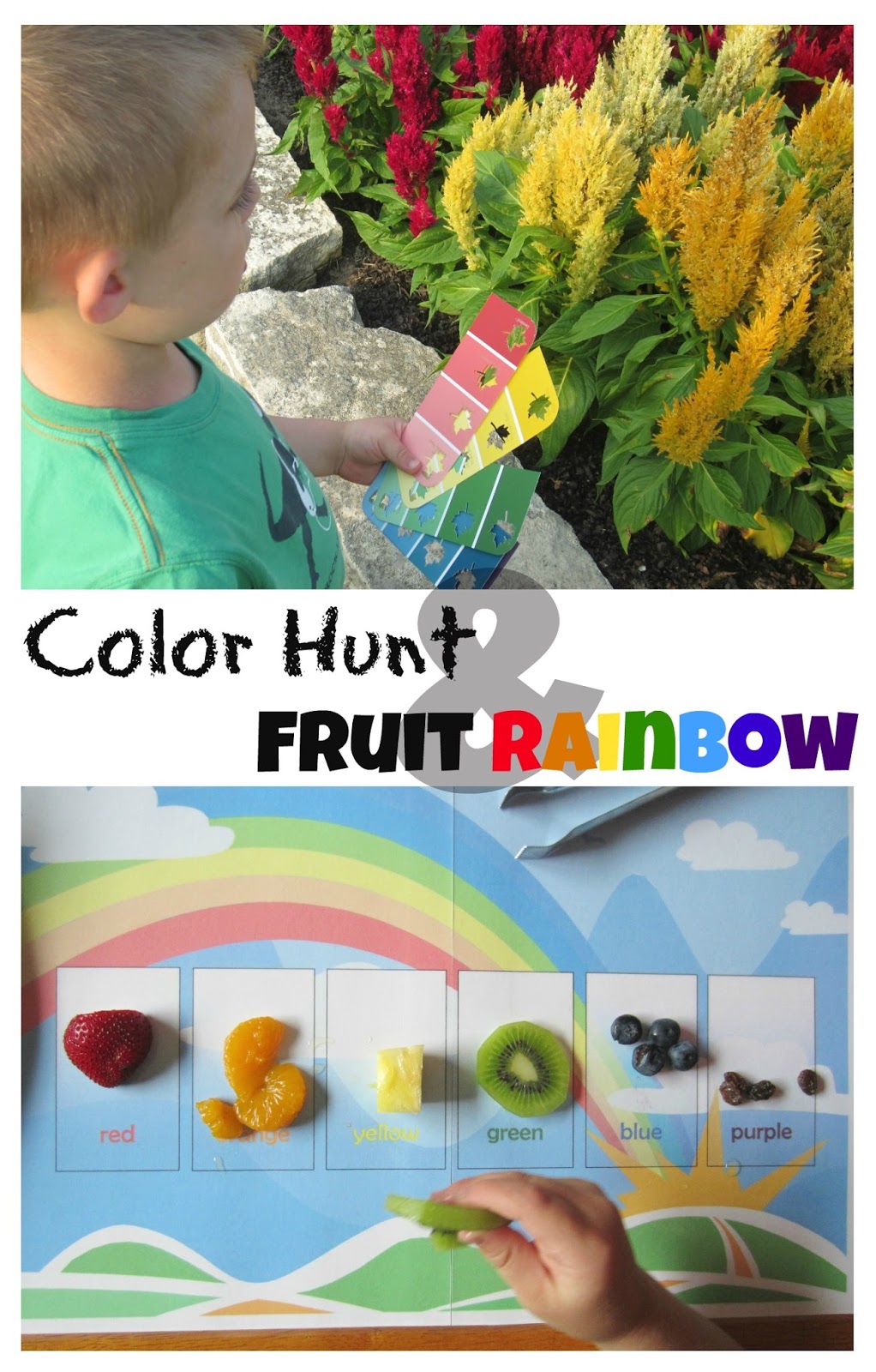 Relentlessly Fun, Deceptively Educational: Color Hunt & Fruit Rainbow