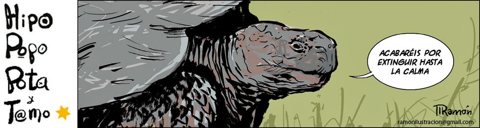 LA UTOPÍA ES NECESARIA. Blog de Antonio Aramayona: Es verdad, tortuga ...