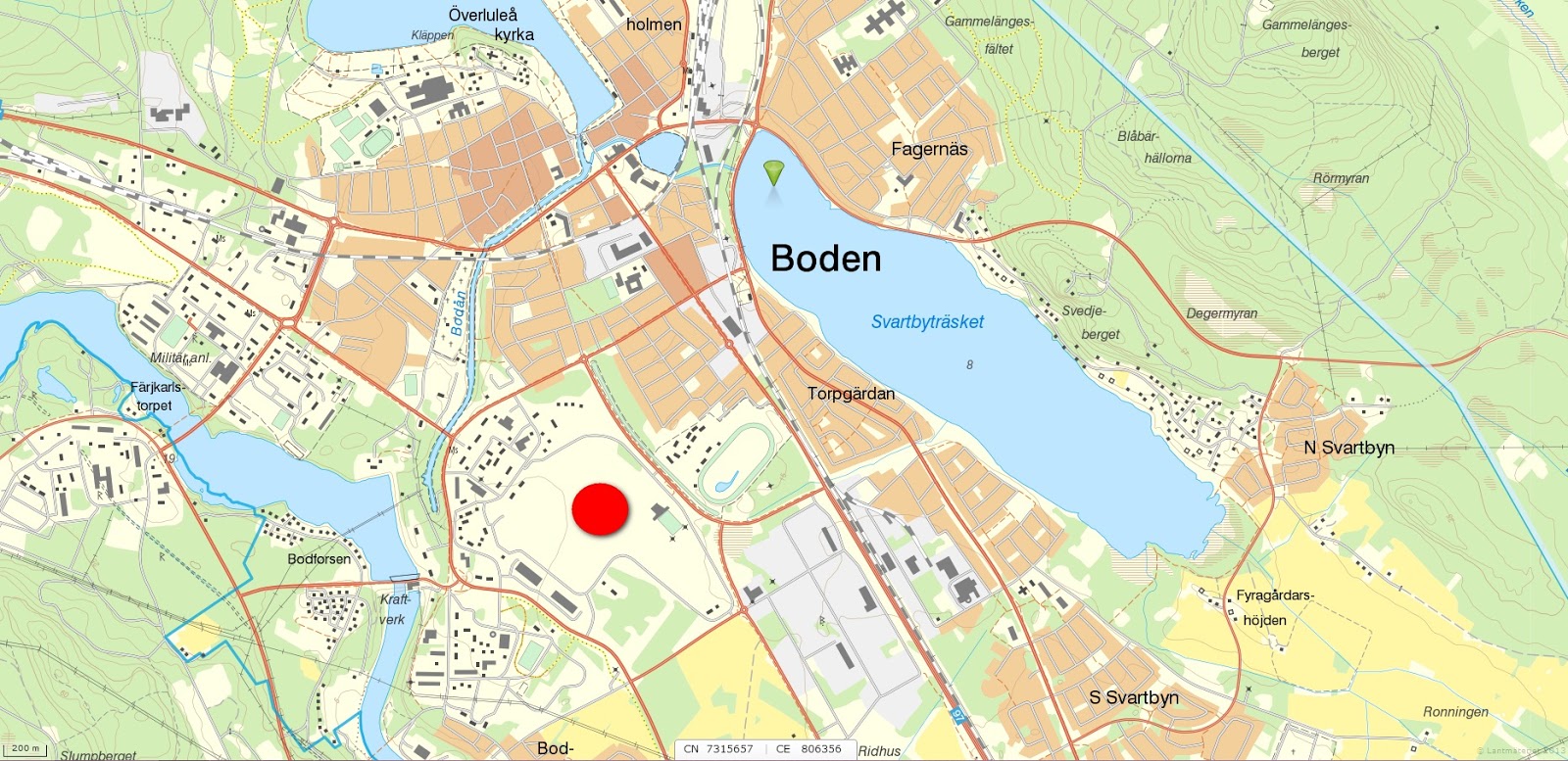 Snösparvar i Boden