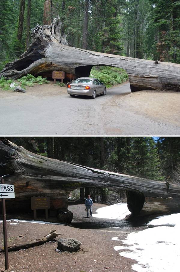 Civil: Top 10 Most Amazing World Tunnels