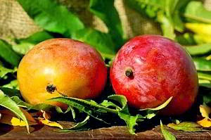 México a través de la mirada de una cubana: Mango: Rey de las Frutas ...