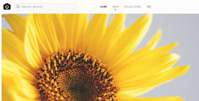 LIST of The Best Websites: TOP 30 - BEST FREE STOCK PHOTO SITES