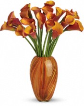 BUNGA: SIMBOL DARI WARNA BUNGA