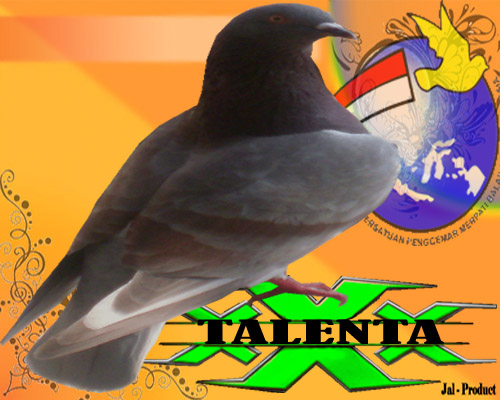 JANOKO is CAME BACK : JANOKO is CAME BACK