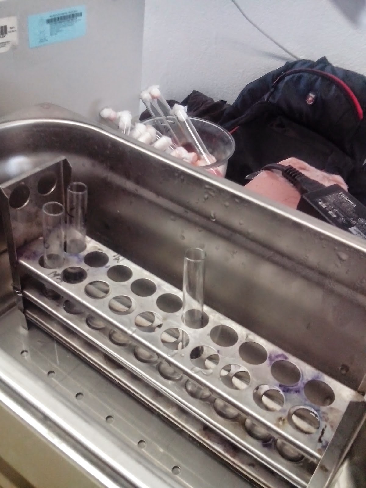 Tumores Y Biología Contemporánea. : TP Y TPT