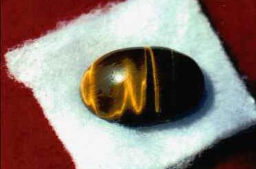 the miracles of allah | the miracle of allah | miracle of allah ...