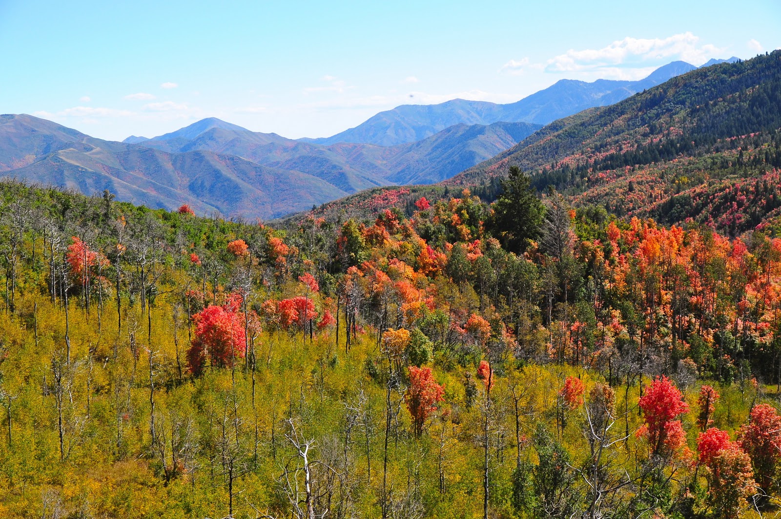 Hiking Utah: Alpine Loop and Cascade Springs Interpretive Trail