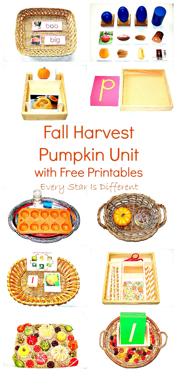 Fall Harvest Pumpkin Unit with Free Printables - Every Star Is Different