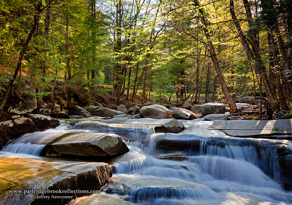 Getting it Right in the Digital Camera : Photographic Treasures of ...