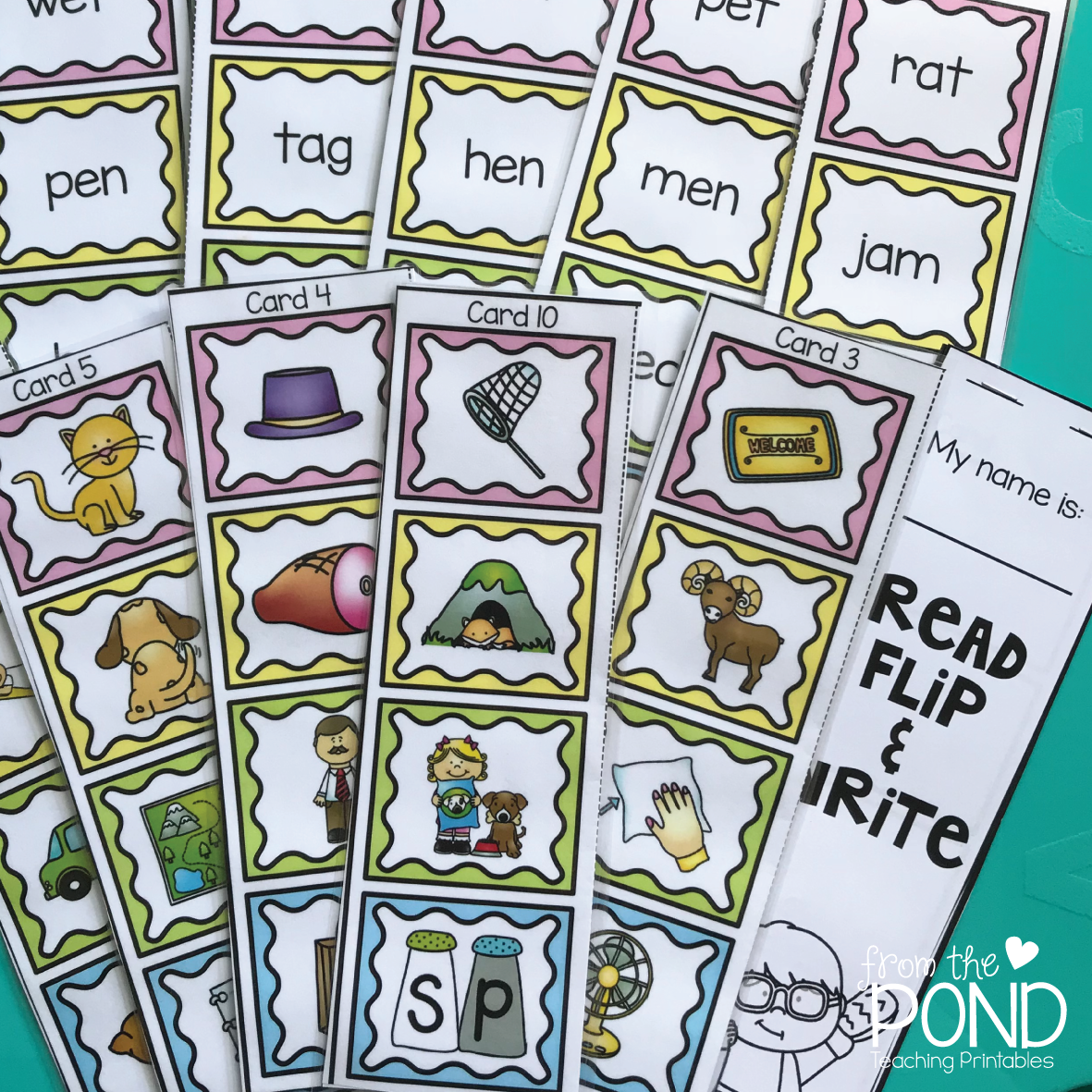 Read, Flip, Write Cards | From the Pond
