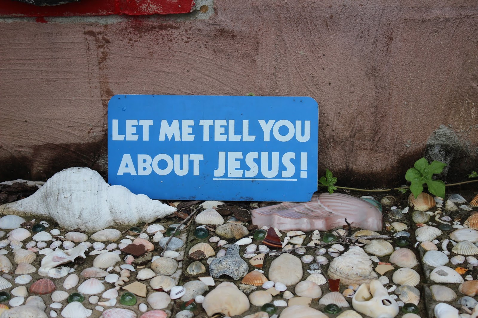 Cumberland Gal: Greenback Castle 2018