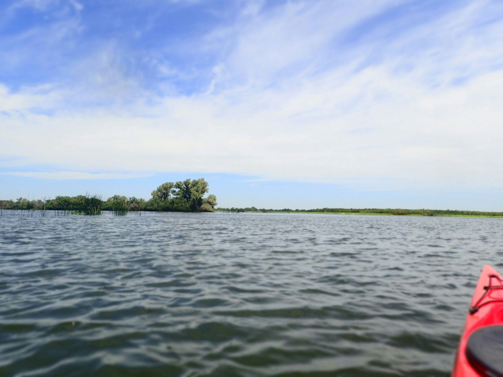 Kayaking the California Delta: Middle River & Little Mandeville Island