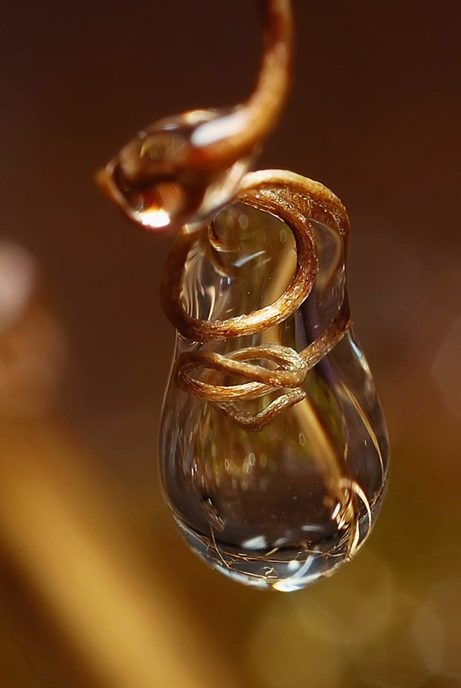 DUE DROPS PHOTOS - world pics