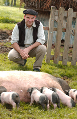 The Beret Project: Basque Pig (Euskal Txerri / Pie Noir du Pays Basque)