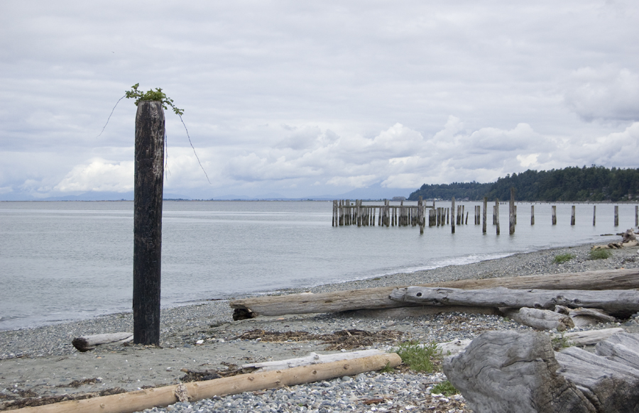 dahlhaus: Friday fieldtrip: Point Roberts, Washington