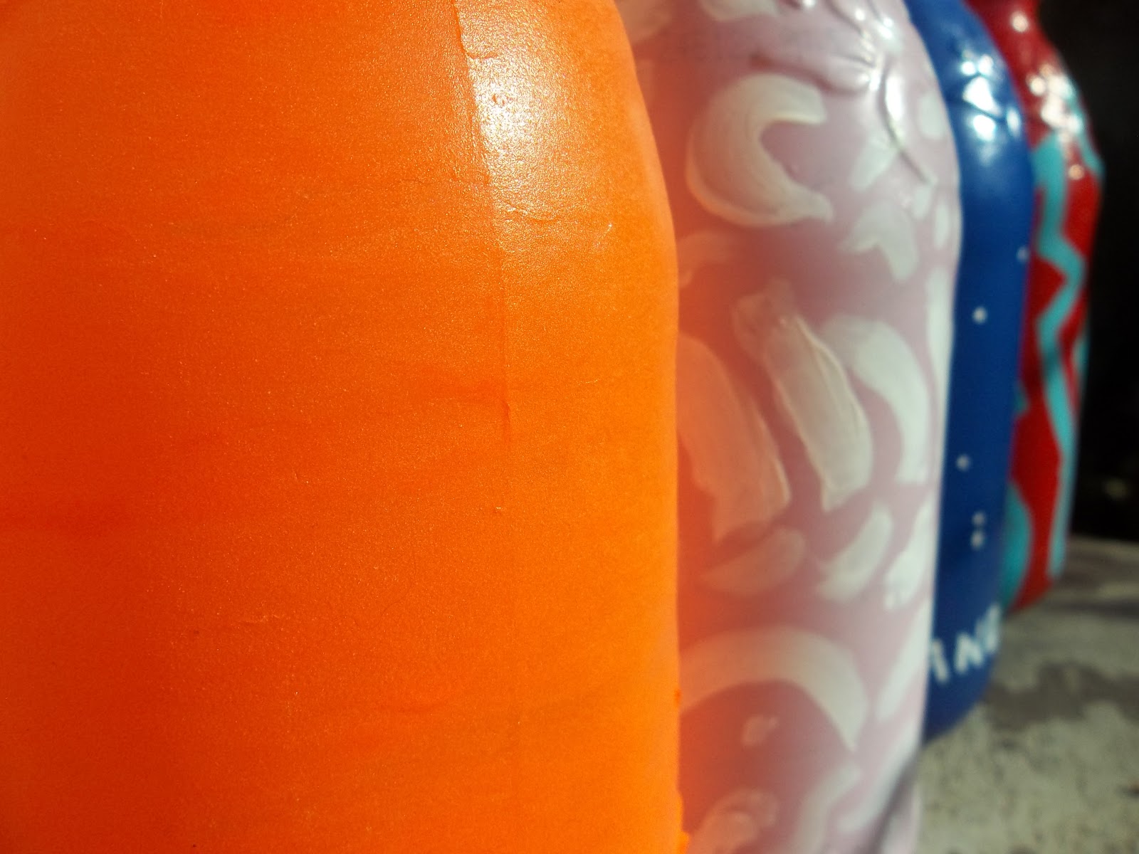 Tales Of An Unpublished Writer: Dried Plants and Old Snapple Bottles