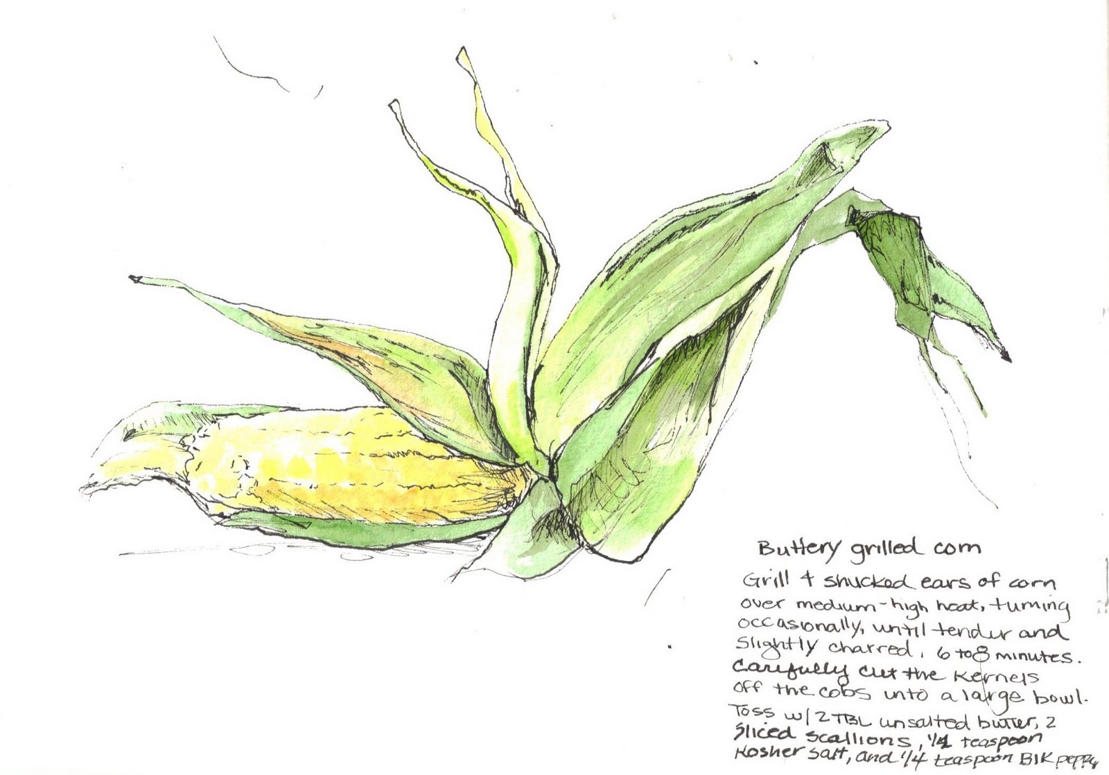 susan walker art: Corn -it and a Recipe. Ink and Watercolor Sketch