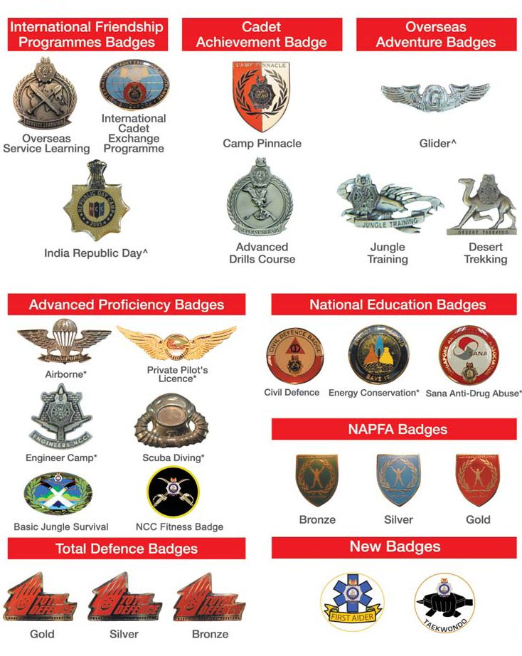 BUKIT BATOK SEC - NCC LAND: NCC BADGES