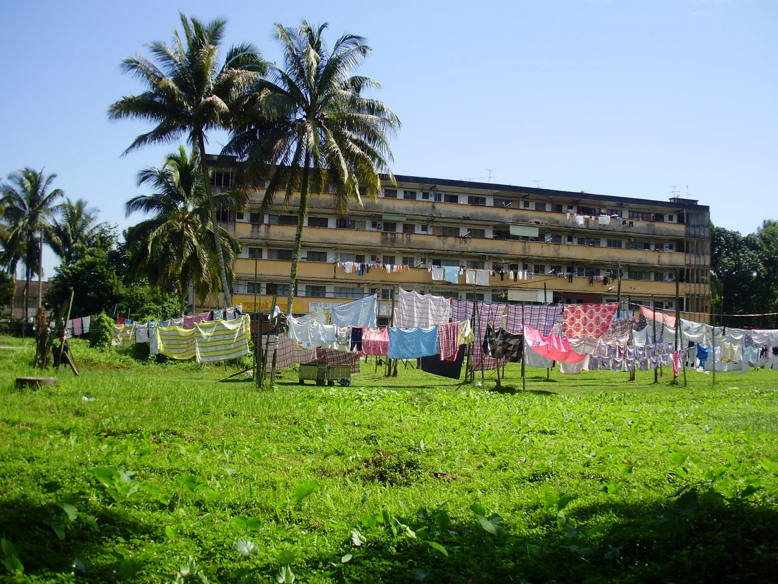 Wongtee: The Taiping Dobi Line