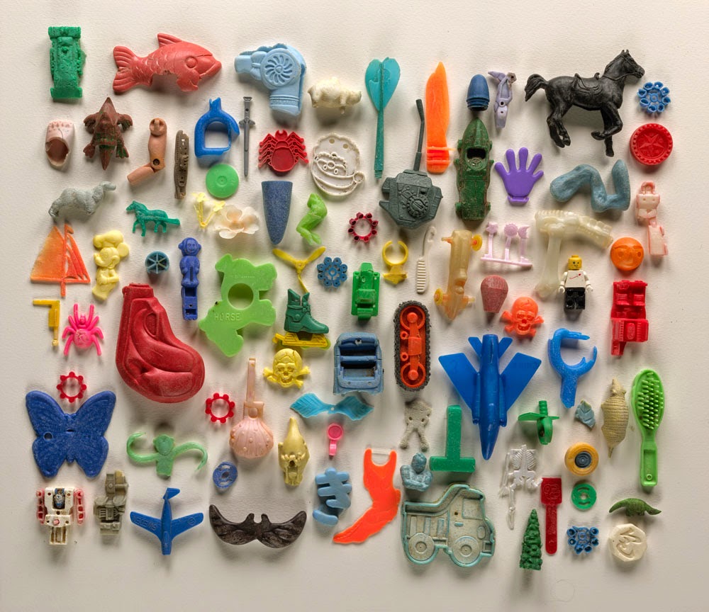 Plastic Forever: Connect with a Scientist