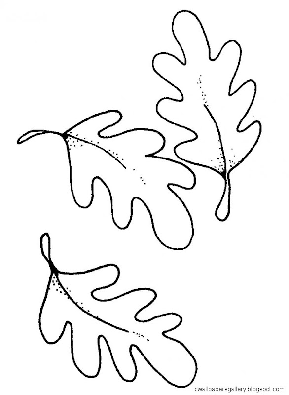 Autumn Leaves Clipart Black And White | Wallpapers Gallery