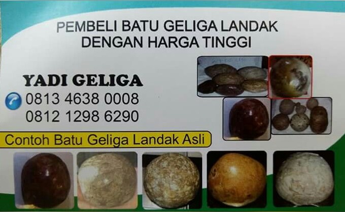 Khasiat Geliga Landak atau Batu Landak ~ Pembeli Batu Landak Yadi Geliga