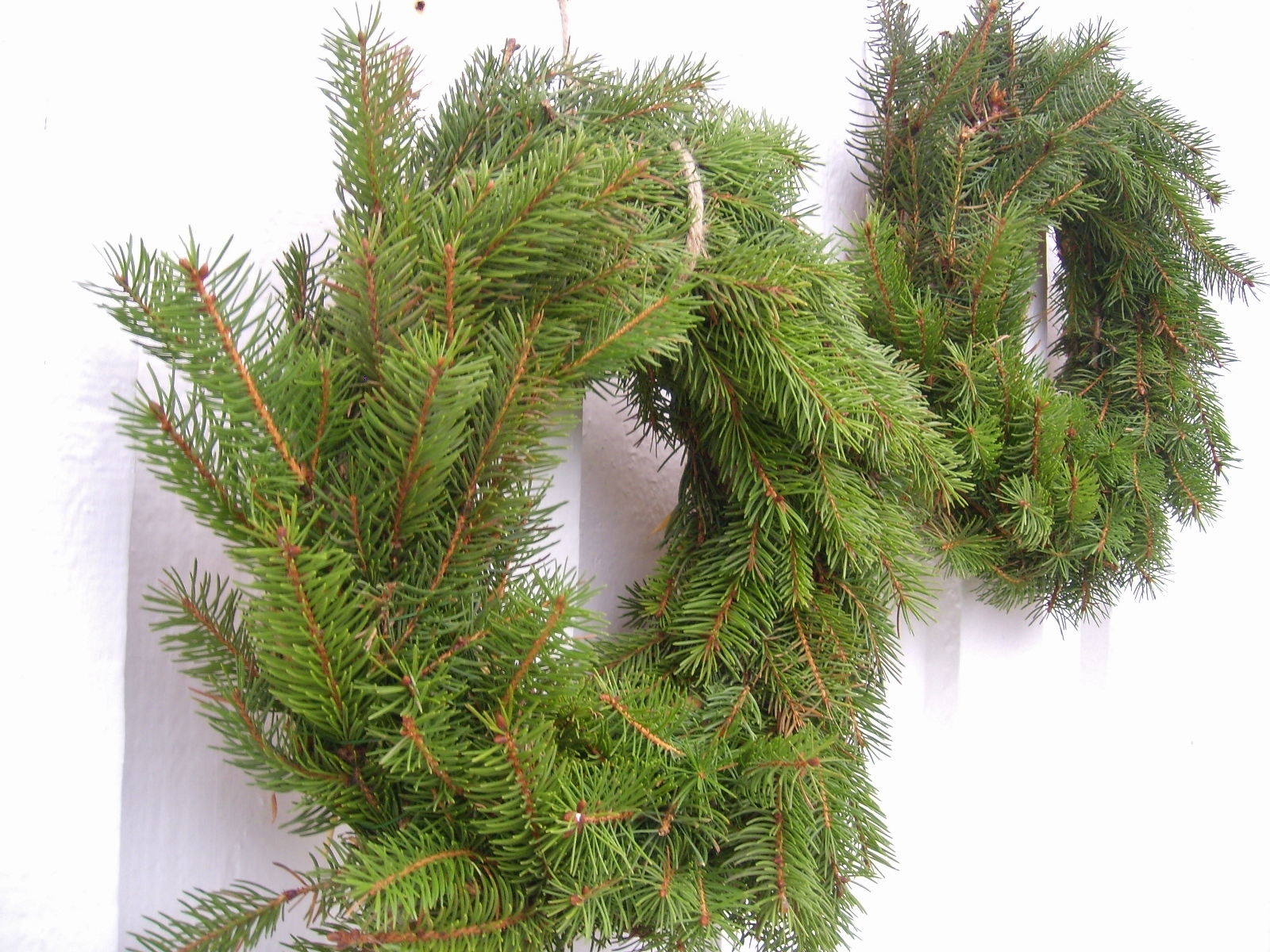 BLOMSTERDESIGN.NET: Dörrkransar av grane